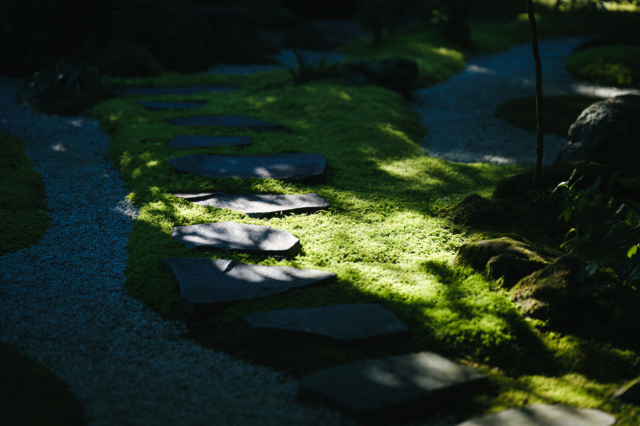 Japanese Aesthetic Sense “Wabi-Sabi” | Editor's Column “The Path of ...
