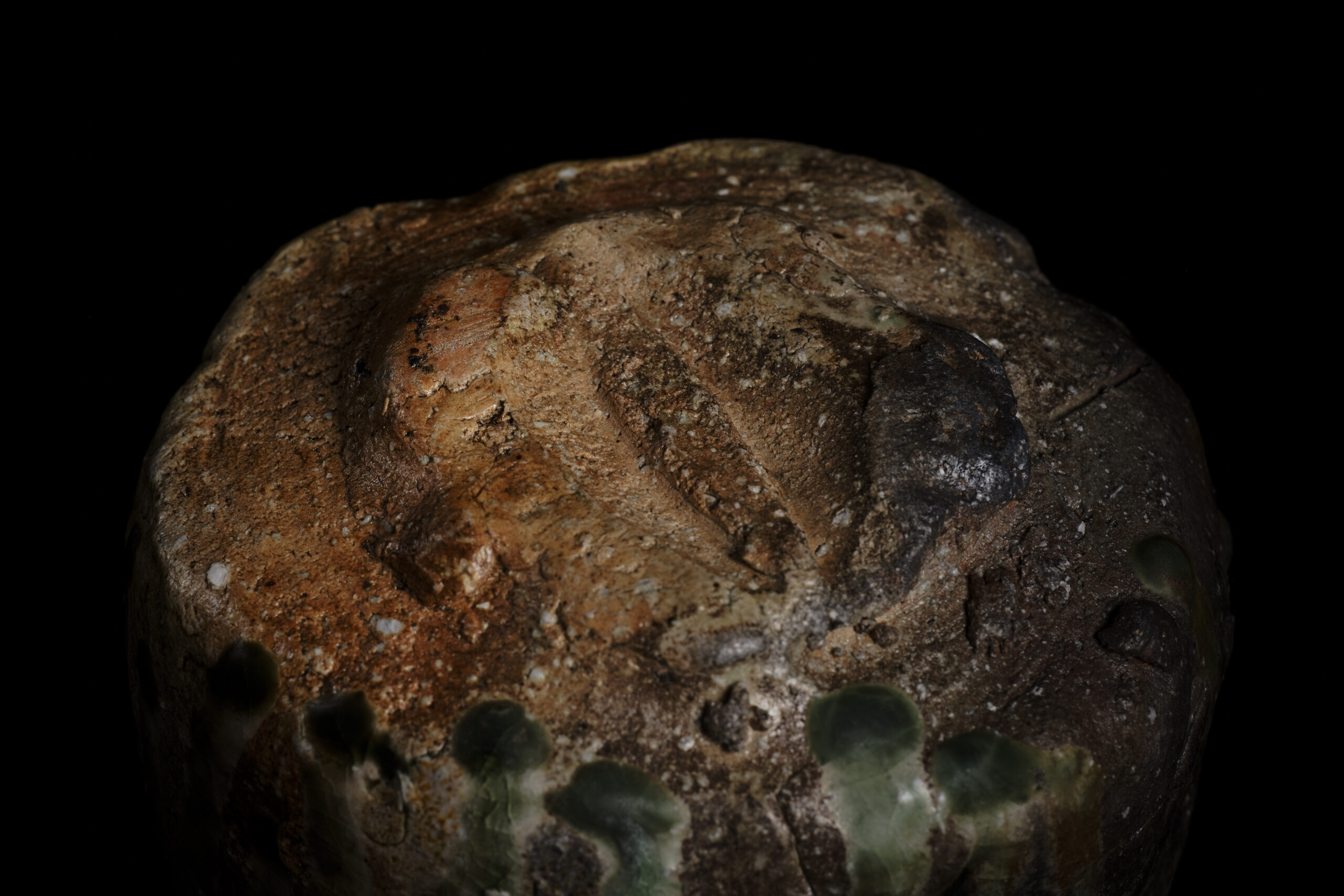 Iga Tea Bowl | Craft | KOGEI STANDARD | Online Media for Japanese Crafts