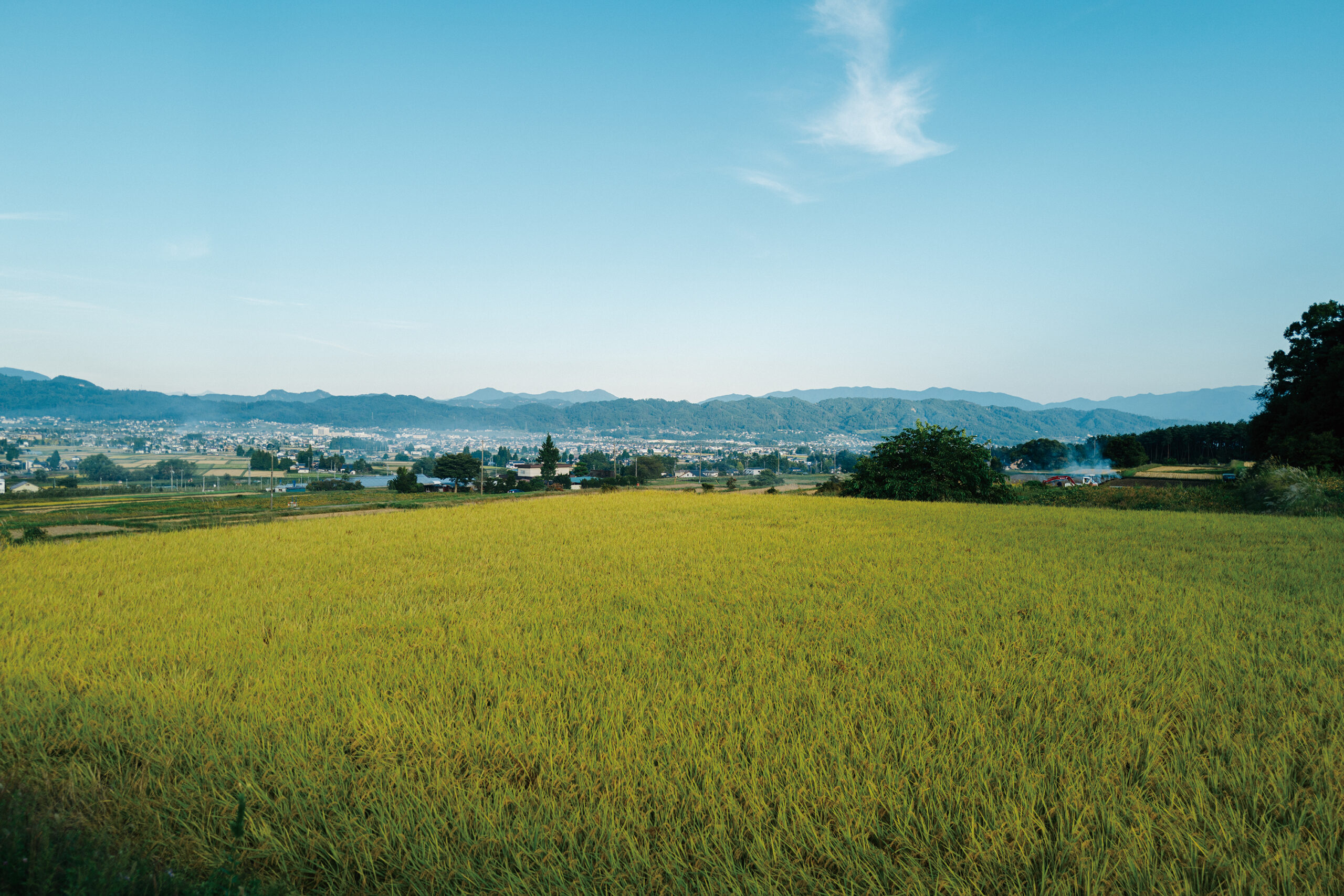 Fudo: Culture and the Landscapes of Japan | Editor's Column “The Path of Japanese Crafts” Part2 ...